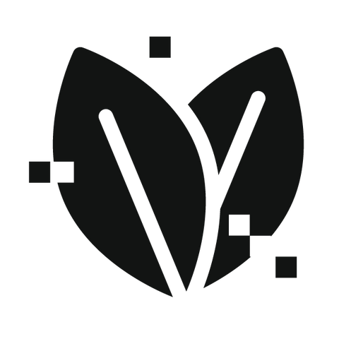 Nutri Co: productos nutritivos plant based a partir de superfoods ...