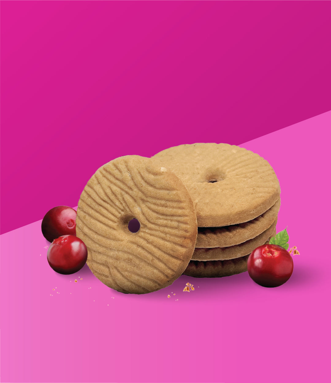 Nutri Co: productos nutritivos plant based a partir de superfoods ...