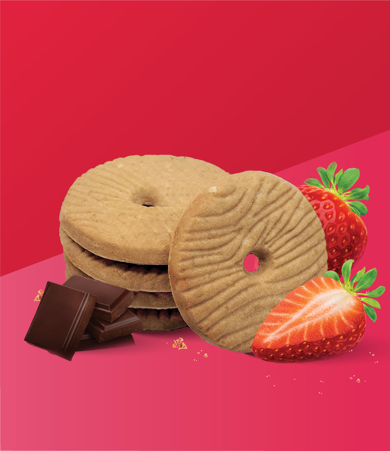 Nutri Co: productos nutritivos plant based a partir de superfoods ...